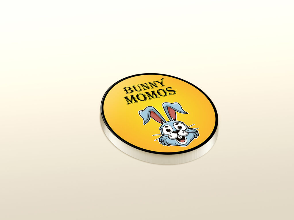 Bunny Momos || XpertLab - Website Designing Company Junagadh